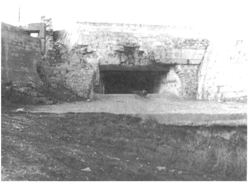 1132 - WN72