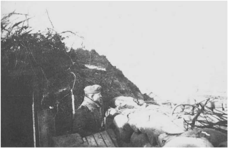 WN71